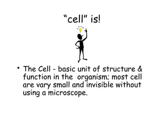 Introduction to the Animal Cell presentation | PPT