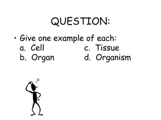 Introduction to the Animal Cell presentation | PPT