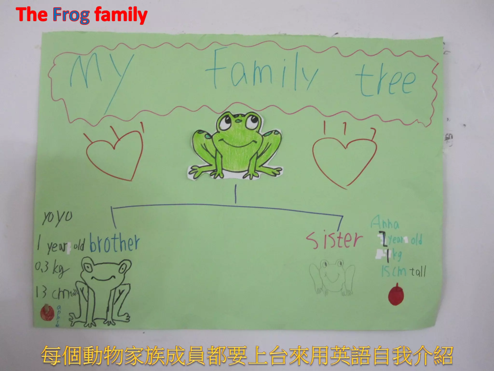 The animal family tree | PPT