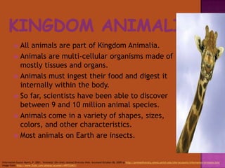 The Animal Kingdom | PPTX