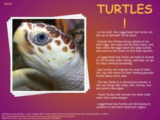 The Animal Kingdom | PPTX