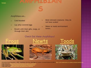 The Animal Kingdom | PPTX