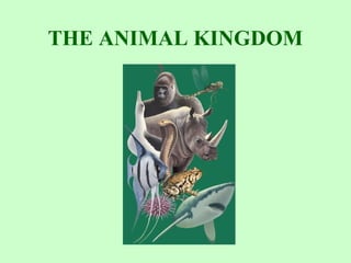 The animal kingdom | PPT