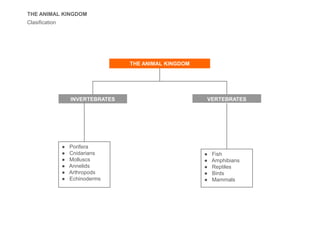 The Animal Kingdom | PDF