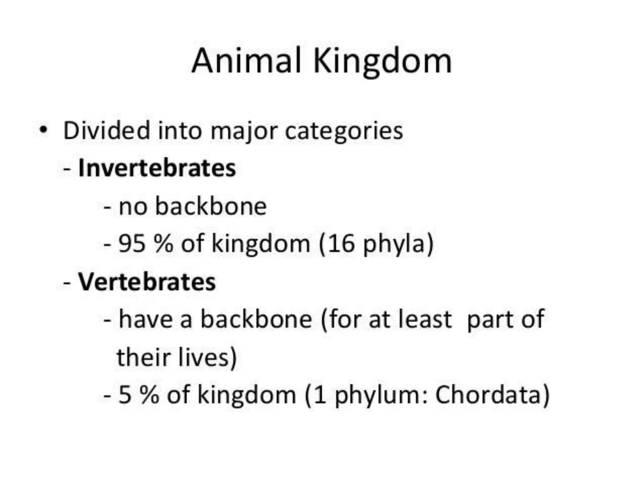 The Animal kingdom | PPTX