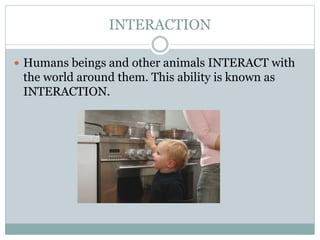 The animal kingdom | PPT