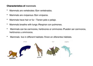 The animal kingdom_1 | PPT