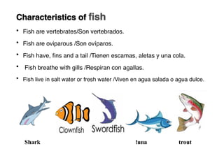 The animal kingdom_1 | PPT