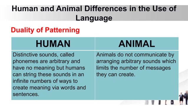 THE different ANIMAL LANGUAGE presentations | PPT