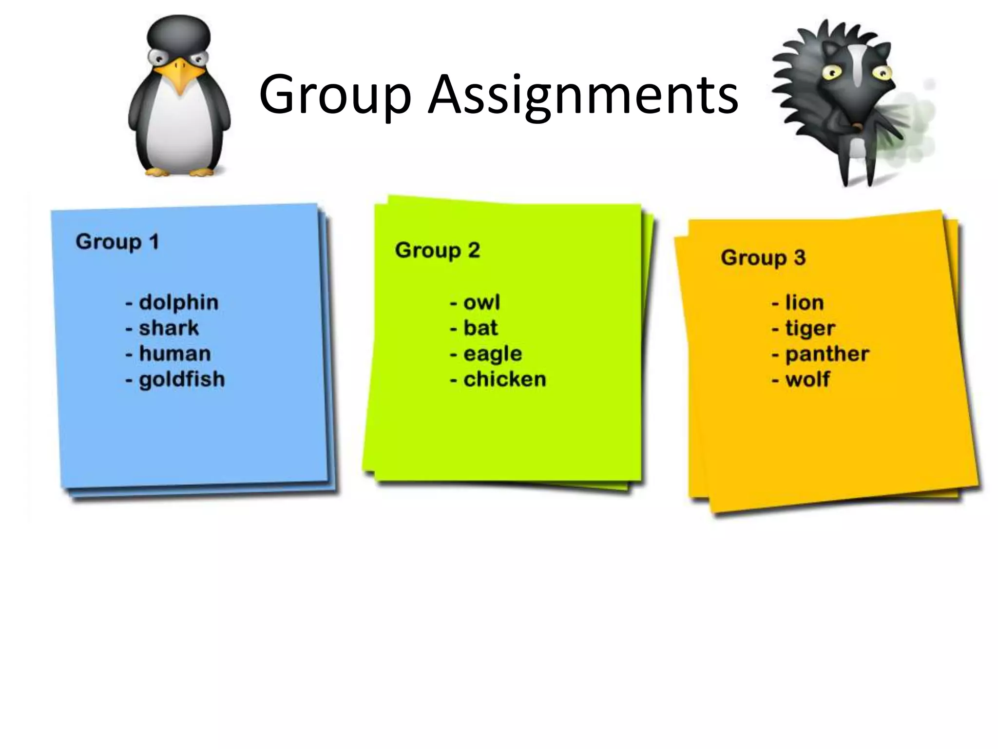 The Animal project | PPT