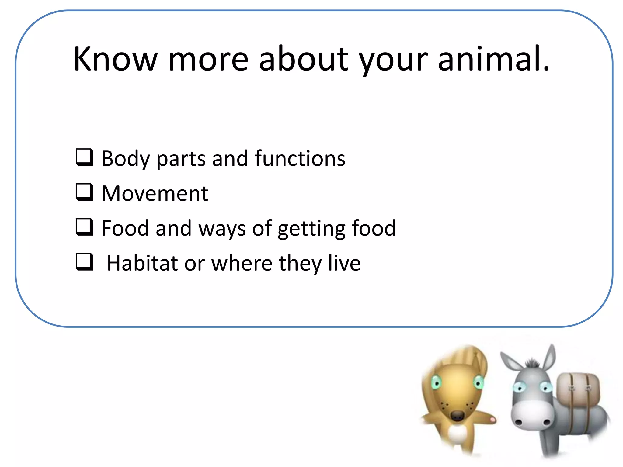 The Animal project | PPT