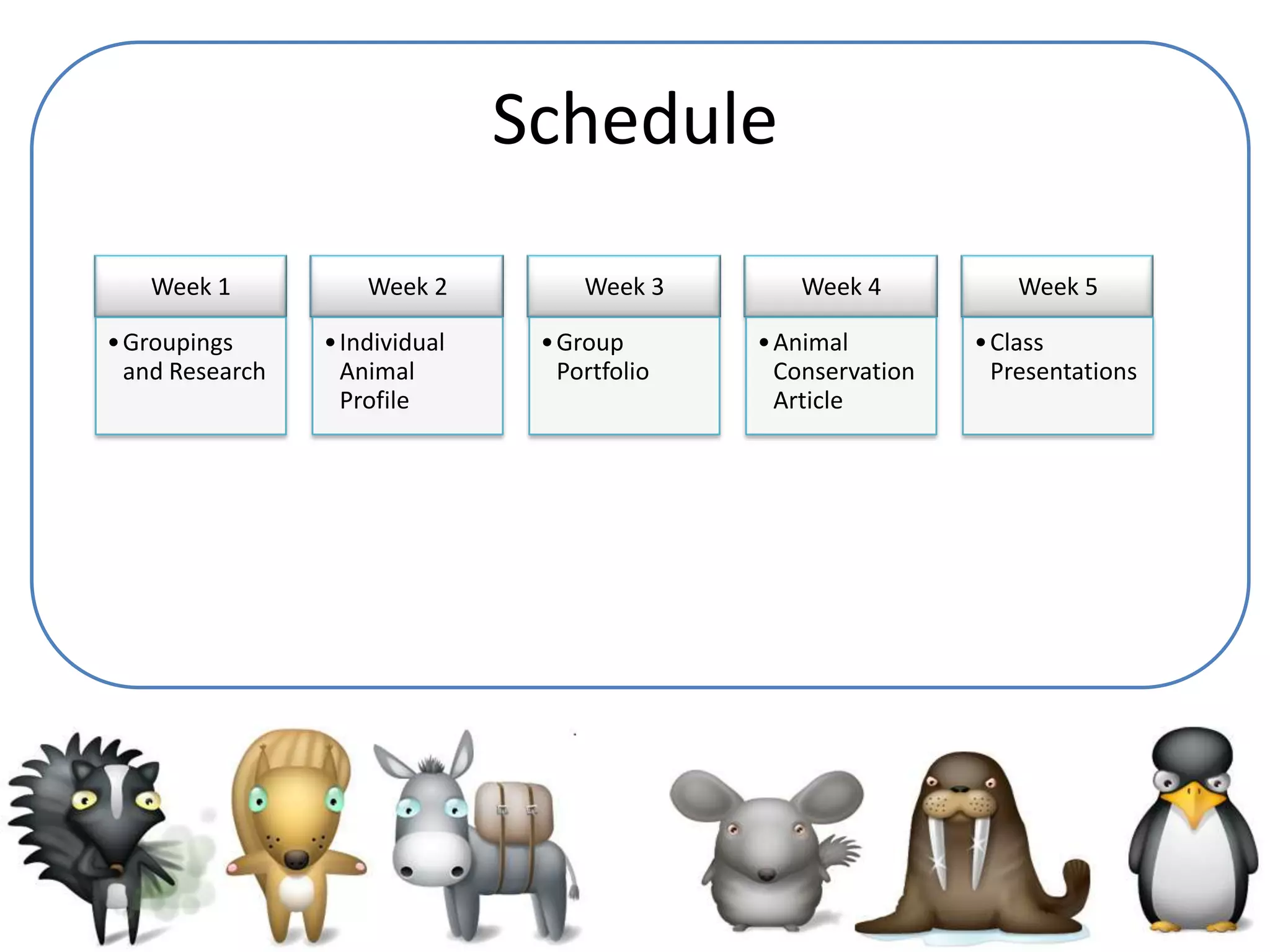 The Animal project | PPT