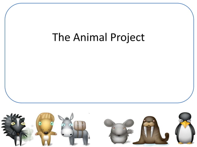 The Animal project | PPT