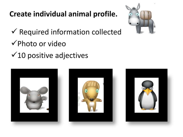 The Animal project | PPT