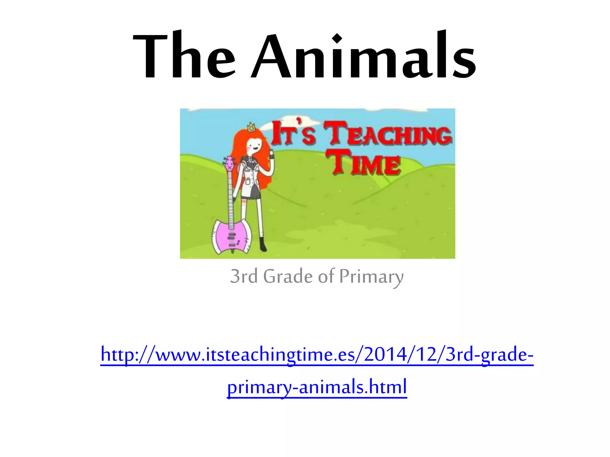 The animals - 3rd grade of primary | PPTX