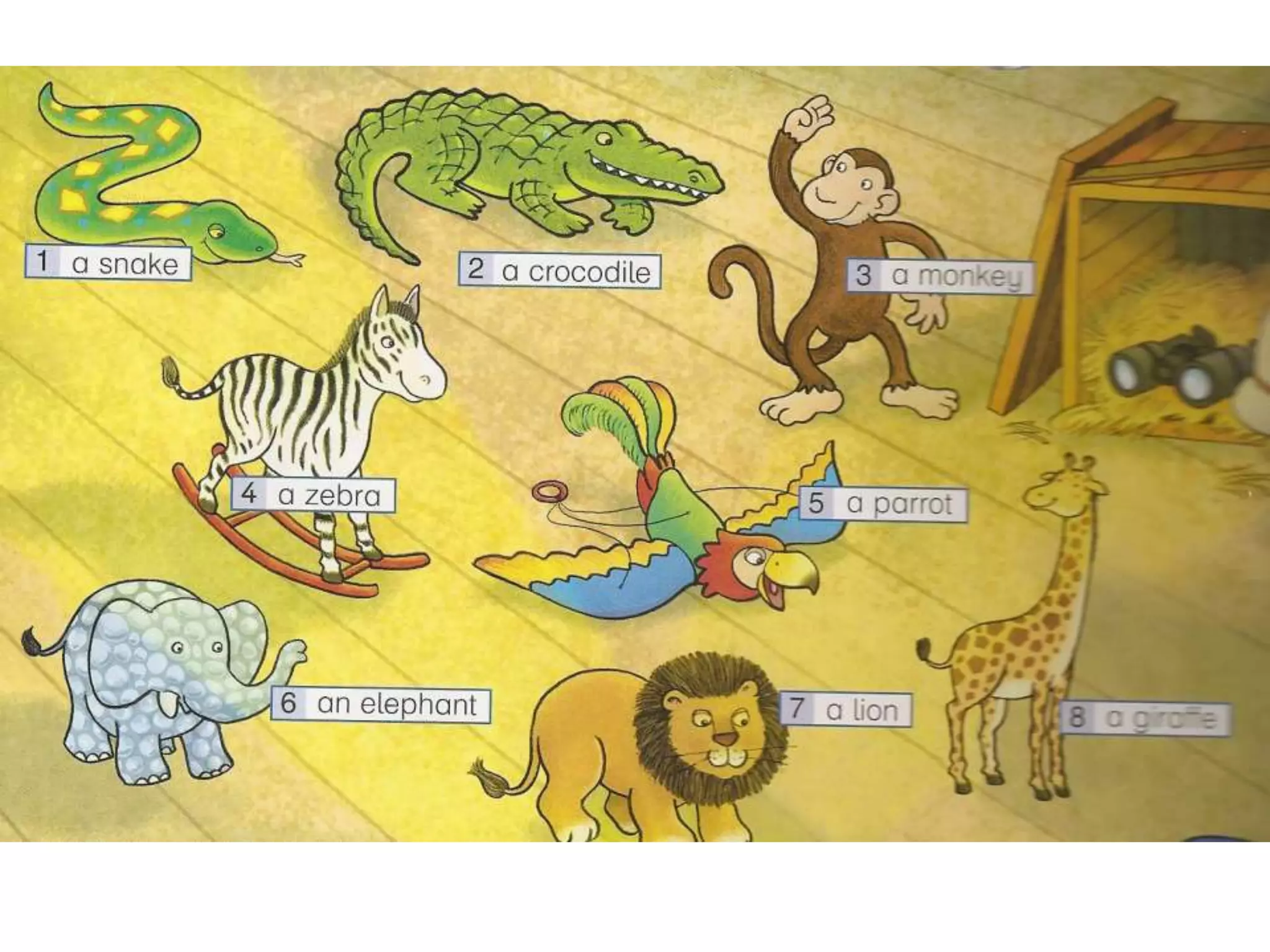 The animals - 3rd grade of primary | PPTX