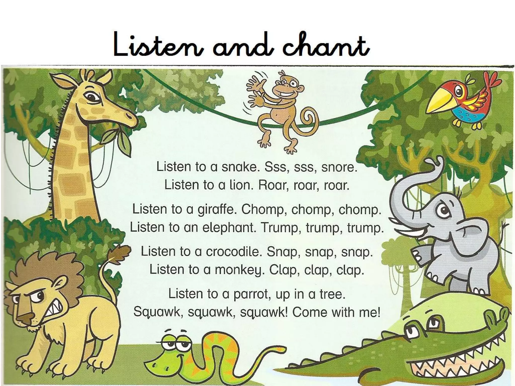 The animals - 3rd grade of primary | PPTX