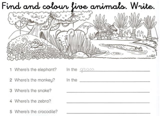 The animals - 3rd grade of primary | PPTX | Reptiles | Pets