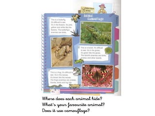 The animals - 3rd grade of primary | PPTX | Reptiles | Pets