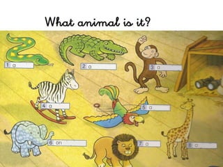 The animals - 3rd grade of primary | PPTX | Reptiles | Pets