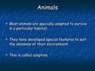 The animals and their habitats | PPT