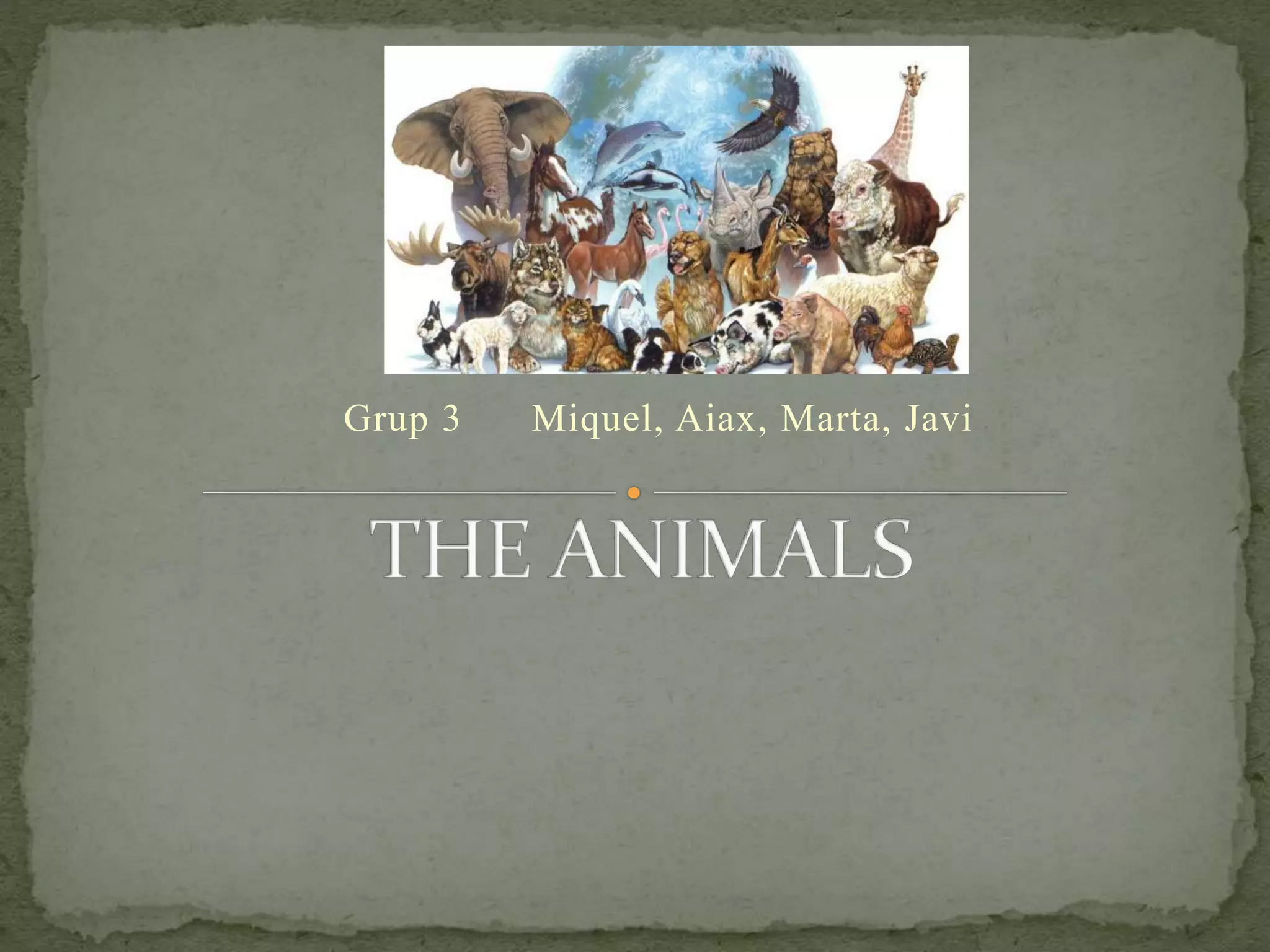 Animals' Presentation G3 | PPTX