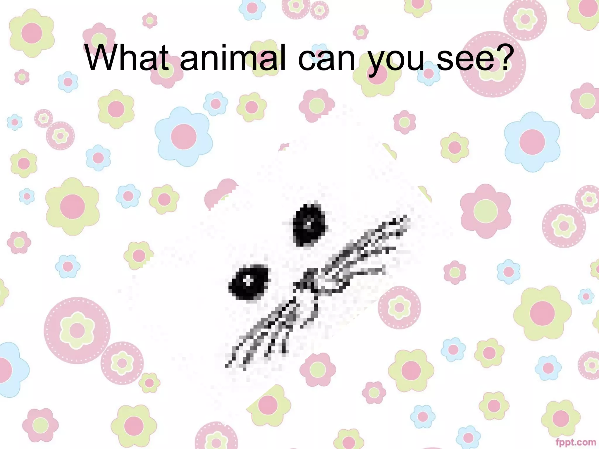 The animals unir natalia_normey | PPT