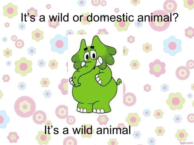 The animals unir natalia_normey | PPT