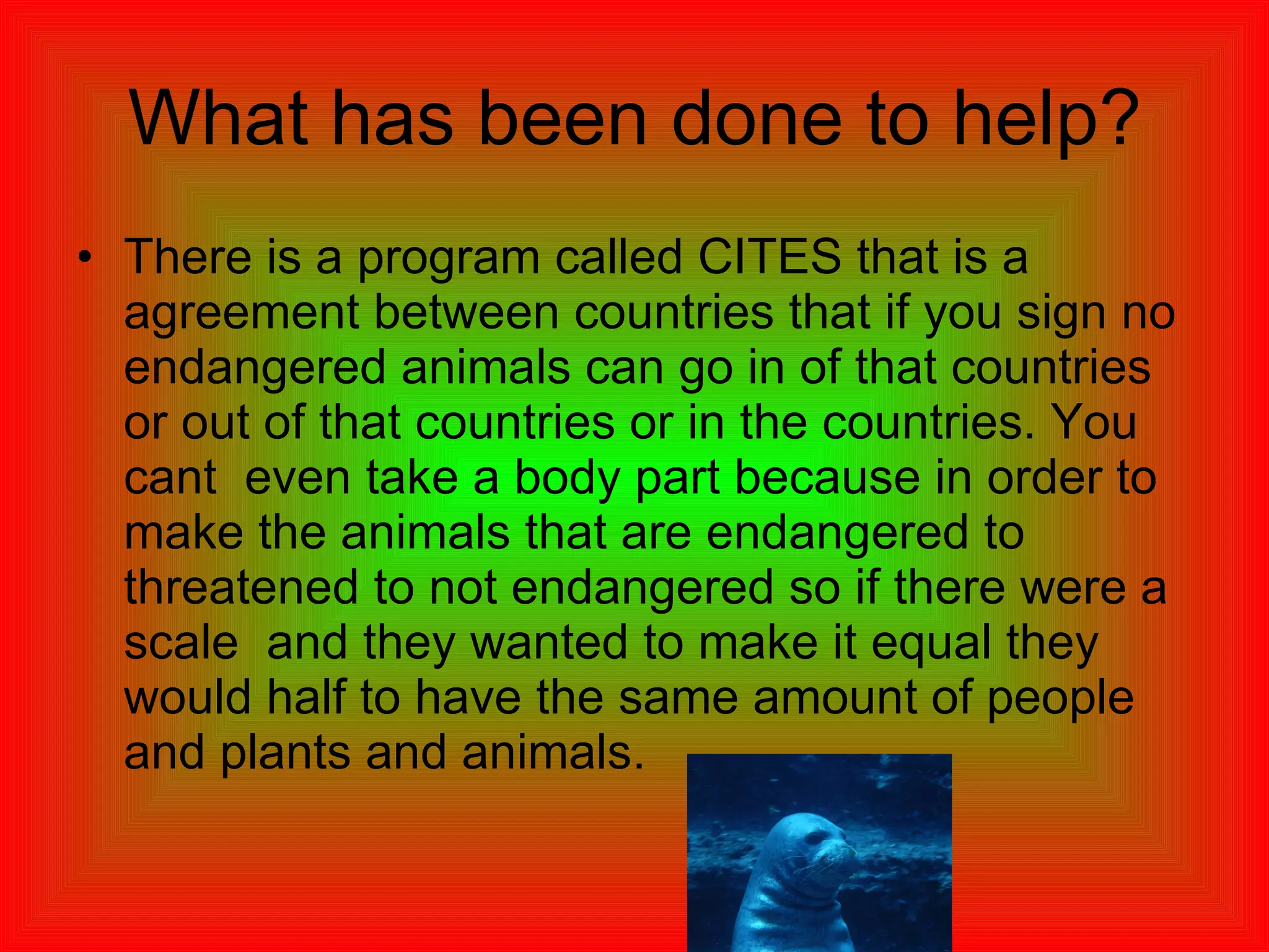 The animal that you should save!!! | PPT