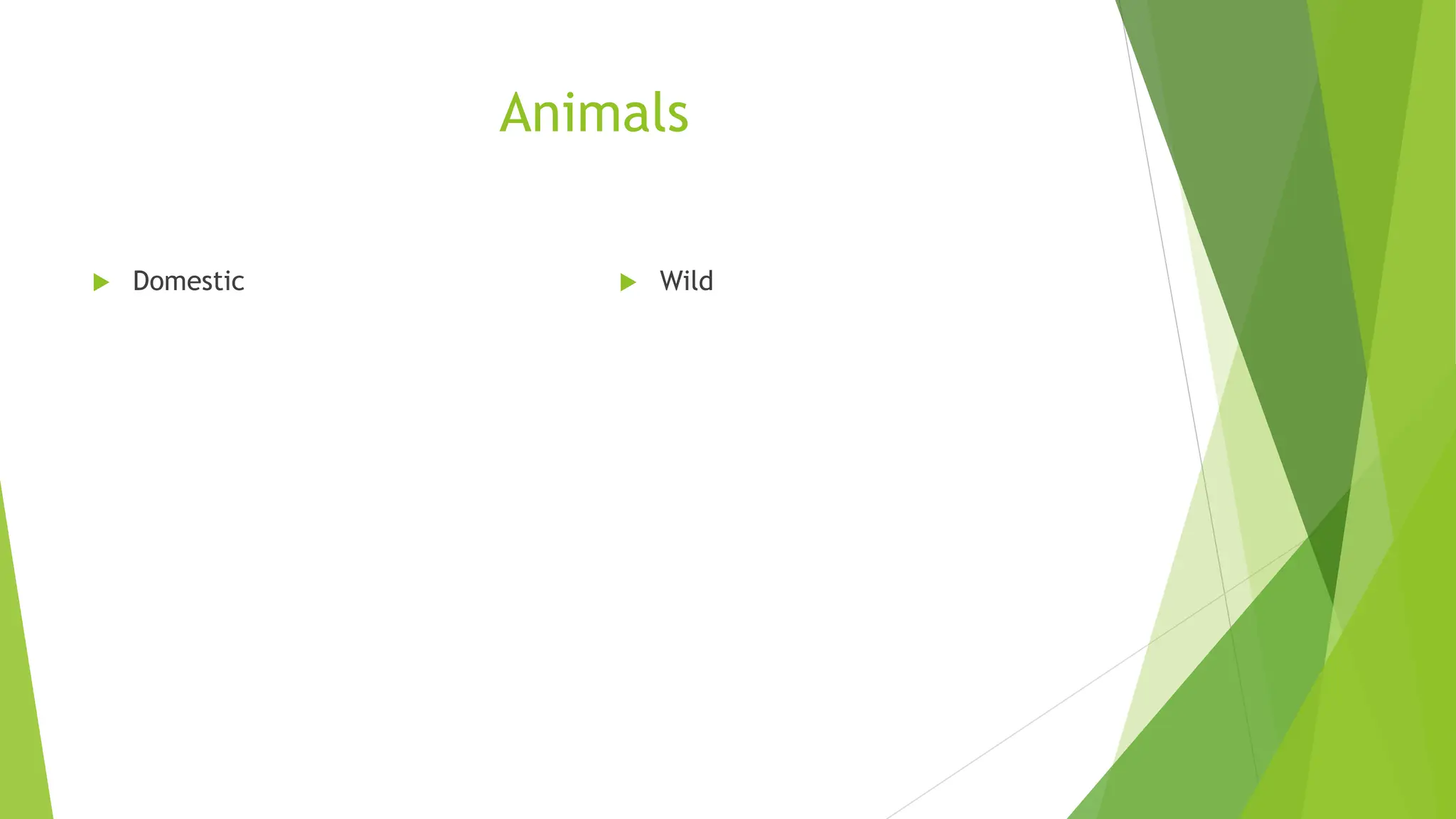 The wild and domestic animals -irregular nons.pptx