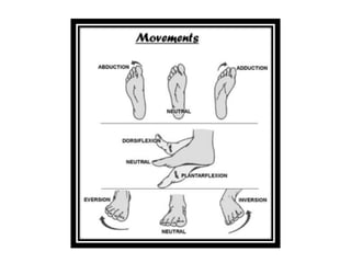 Foot Adduction
