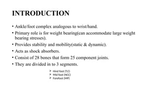 The Ankle and Foot Complex Anatomy & Biomechanics | PPTX