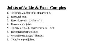 The Ankle and Foot Complex Anatomy & Biomechanics | PPTX