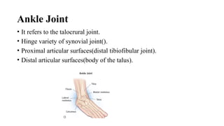 The Ankle and Foot Complex Anatomy & Biomechanics | PPTX