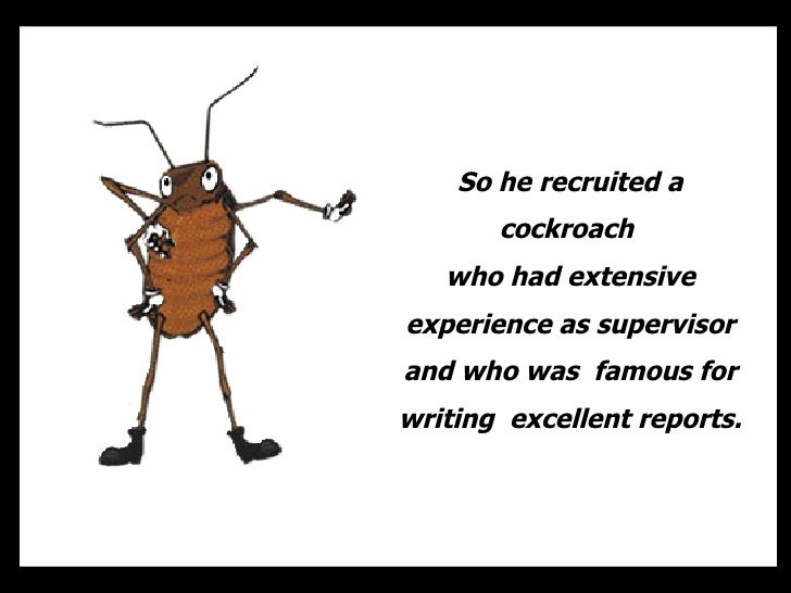 The Ant and the Lion - Rethink About Your Value Chain