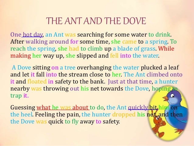 The ant and the dove