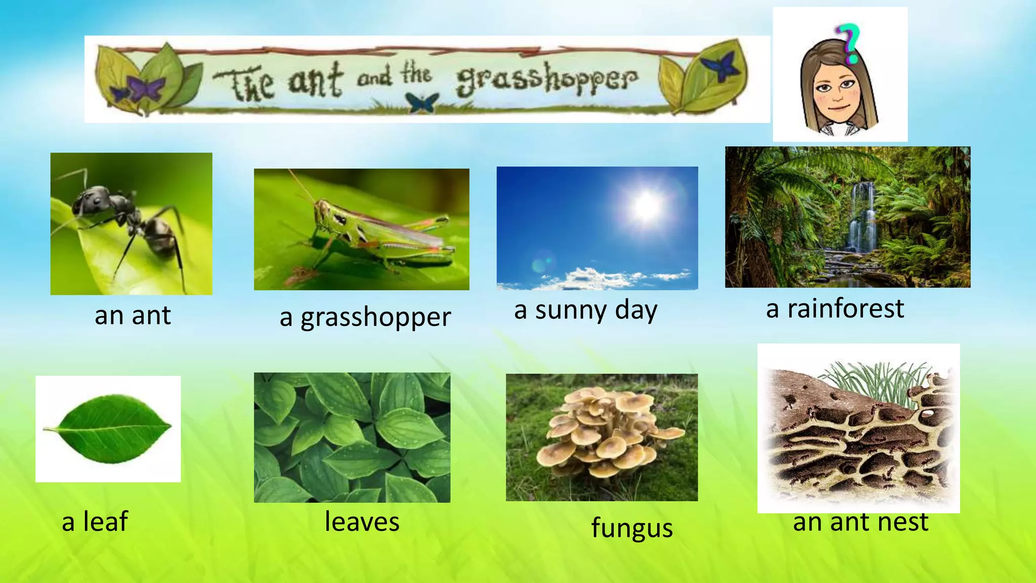 The ant and the grasshopper | PPT