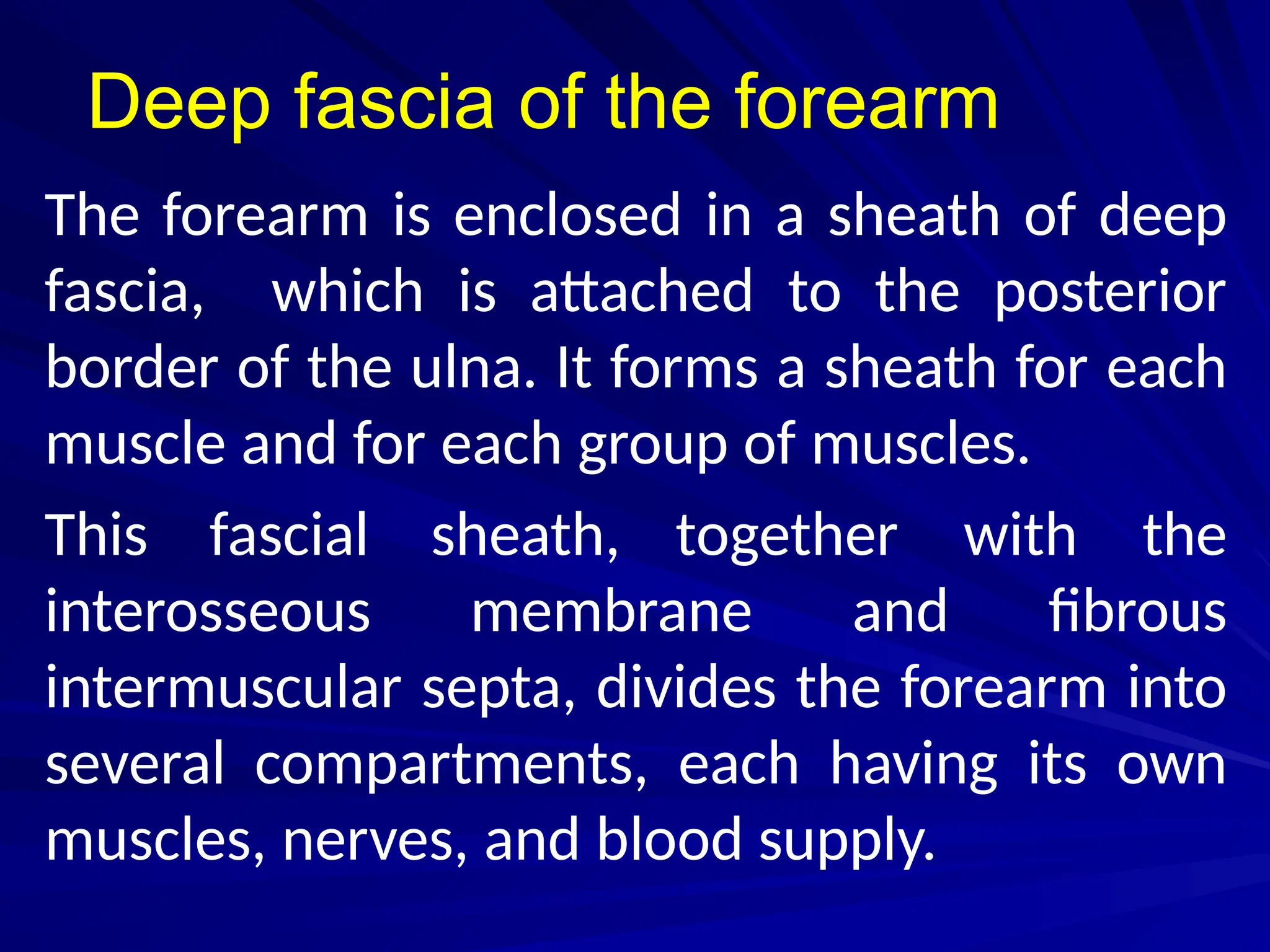 The Anterior Compartment of the Forearm.pptx