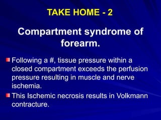 The Anterior Compartment of the Forearm.pptx