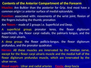 The Anterior Compartment of the Forearm.pptx