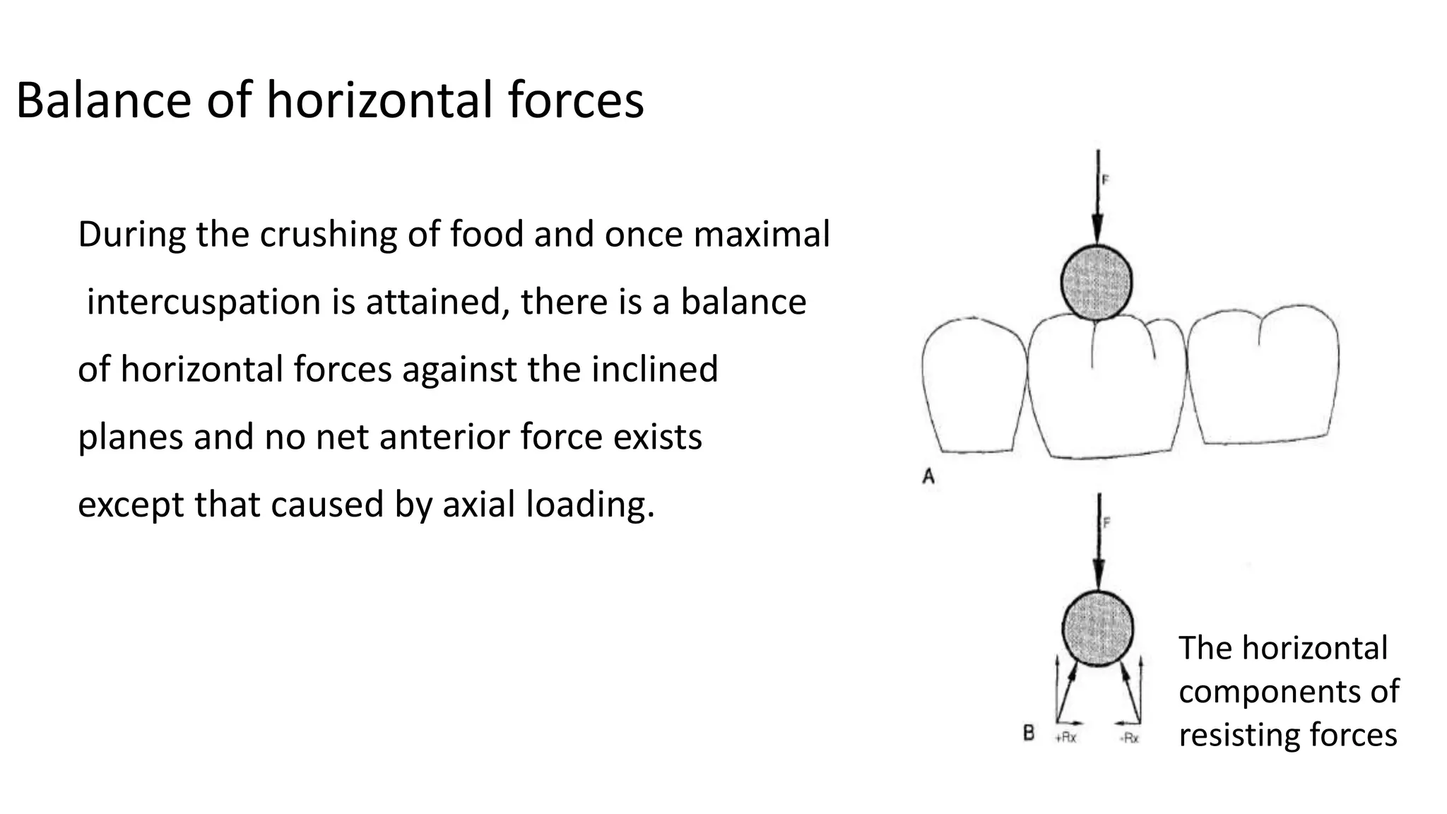 The Anterior component of occlusal force.pptx