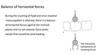 The Anterior component of occlusal force.pptx | Dental Health ...