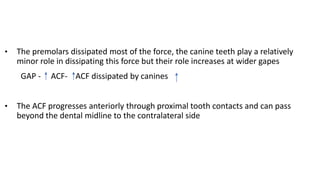 The Anterior component of occlusal force.pptx | Dental Health ...