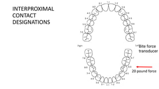 The Anterior component of occlusal force.pptx | Dental Health ...