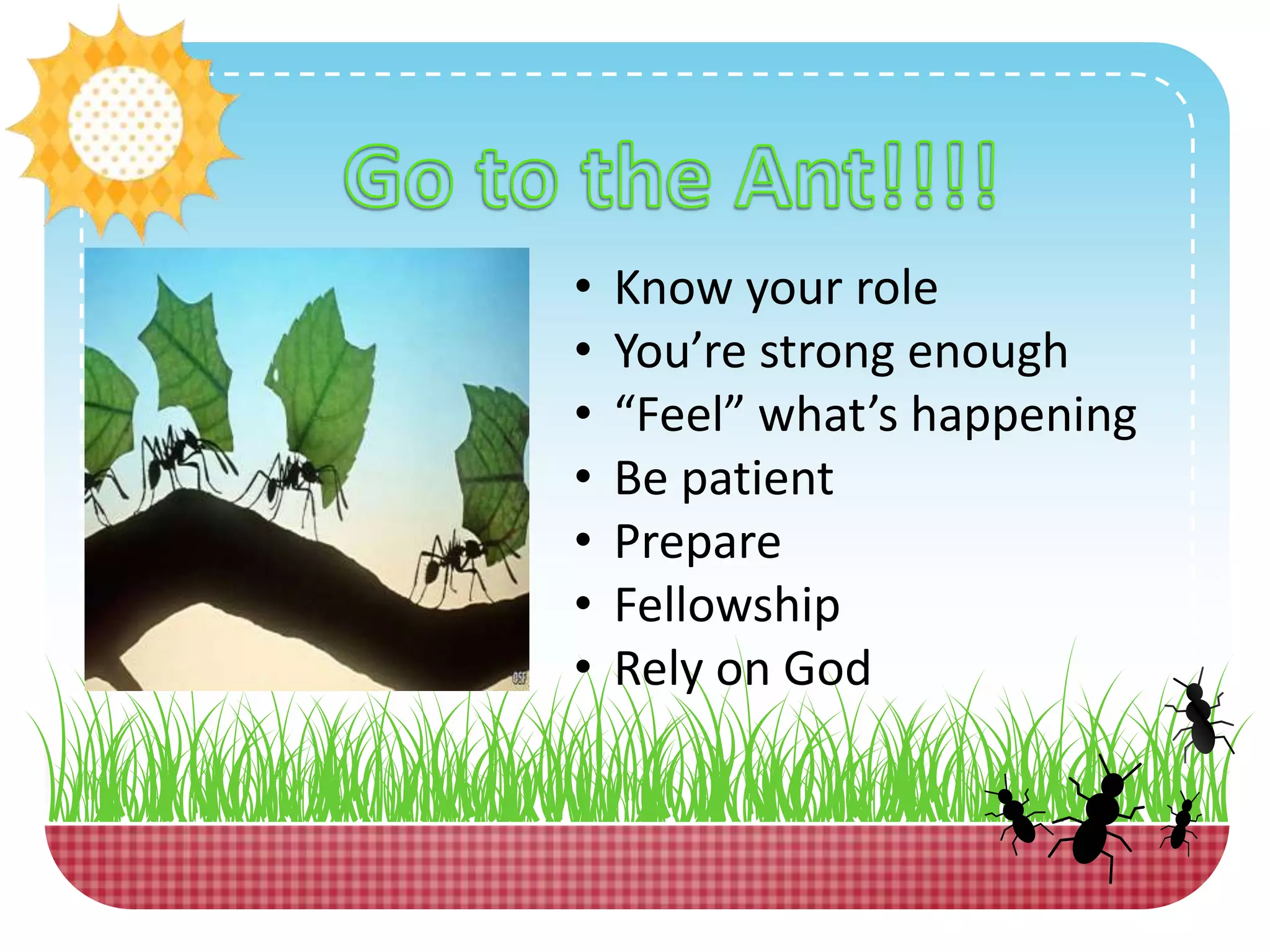 The ant final | PPT