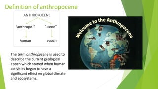 The anthropocene | PPTX