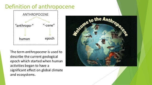 The anthropocene