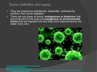 The anthropocene by lydia and Helen | PPTX