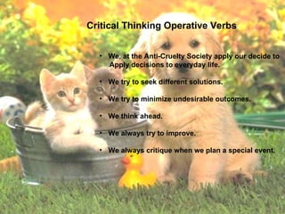 The anti cruelty society | PPT