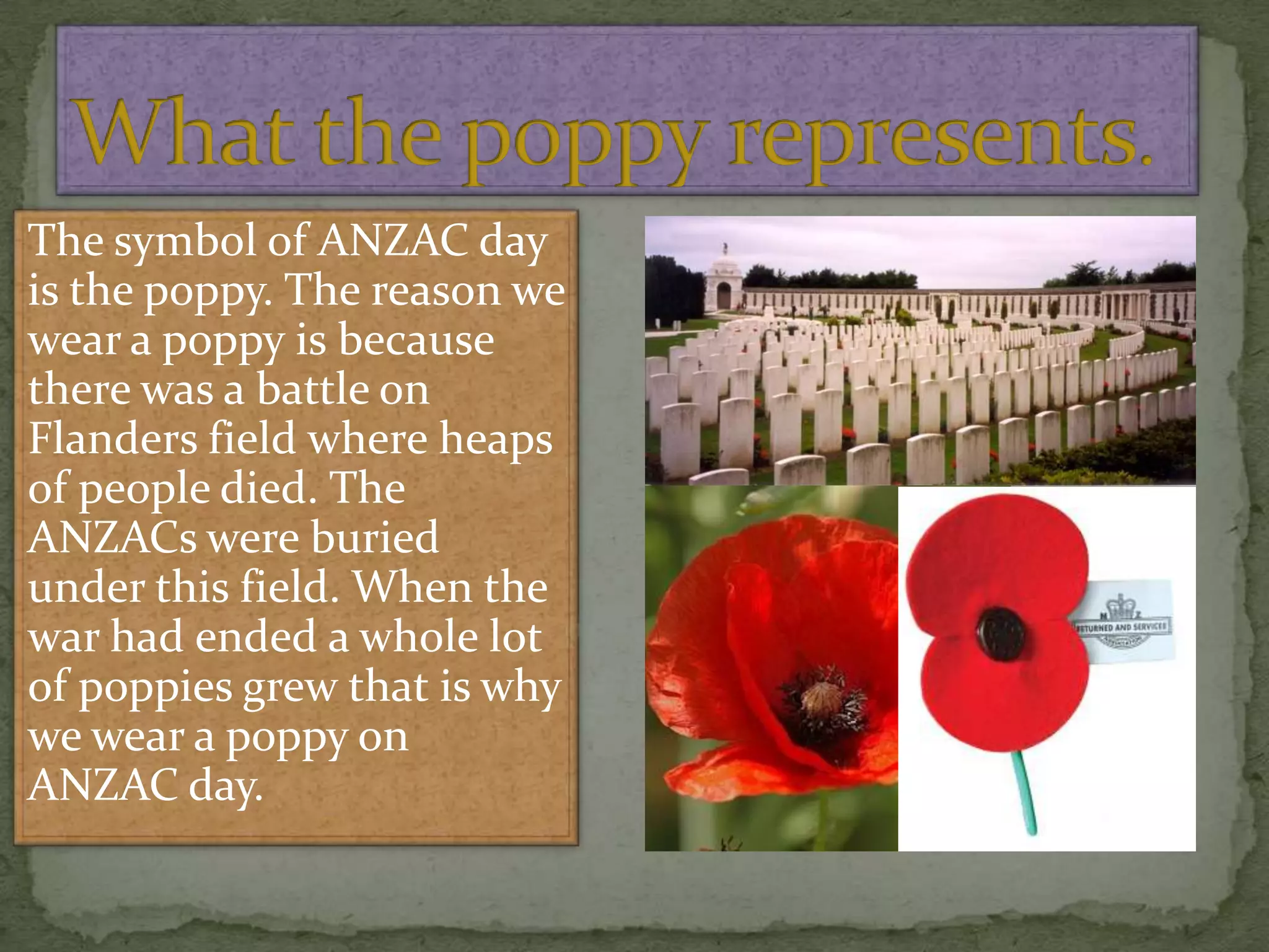 The ANZACs at Gallipoli | PPTX